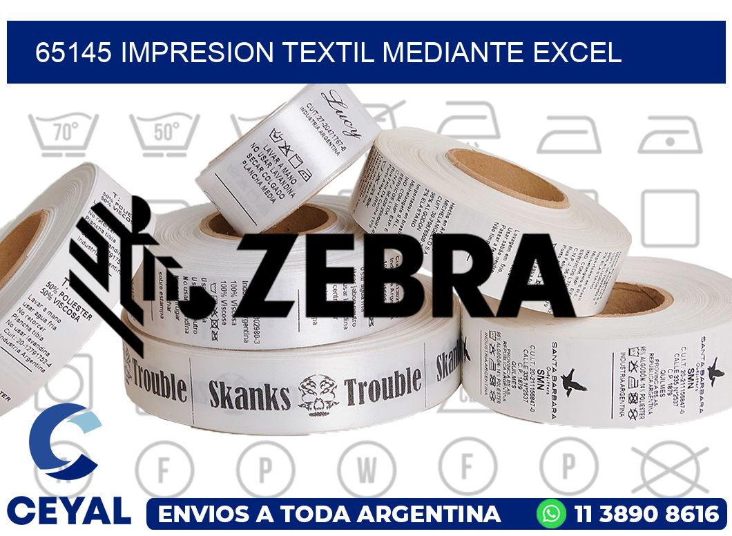 65145 IMPRESION TEXTIL MEDIANTE EXCEL | Ribbon Argentina